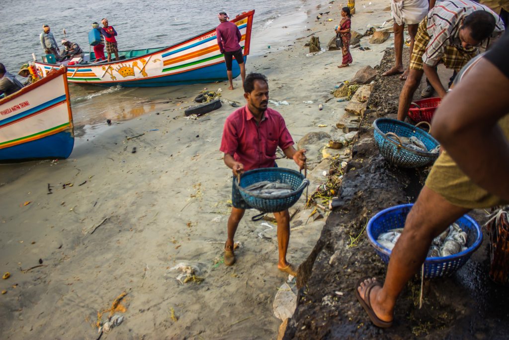 Fishermen collecting fish in baskets - PixaHive
