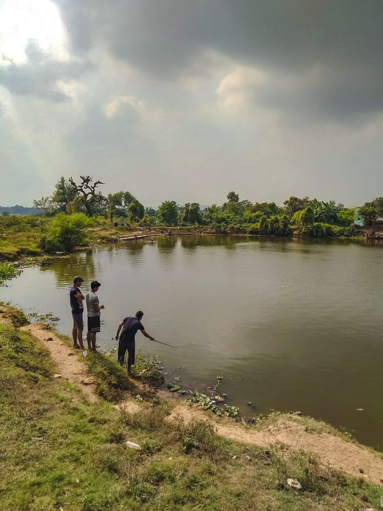 Fishing in a pond - PixaHive