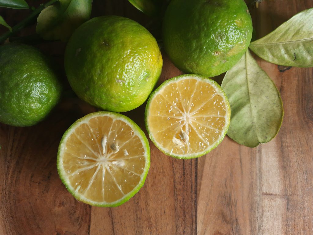 Fresh orange fruits - PixaHive