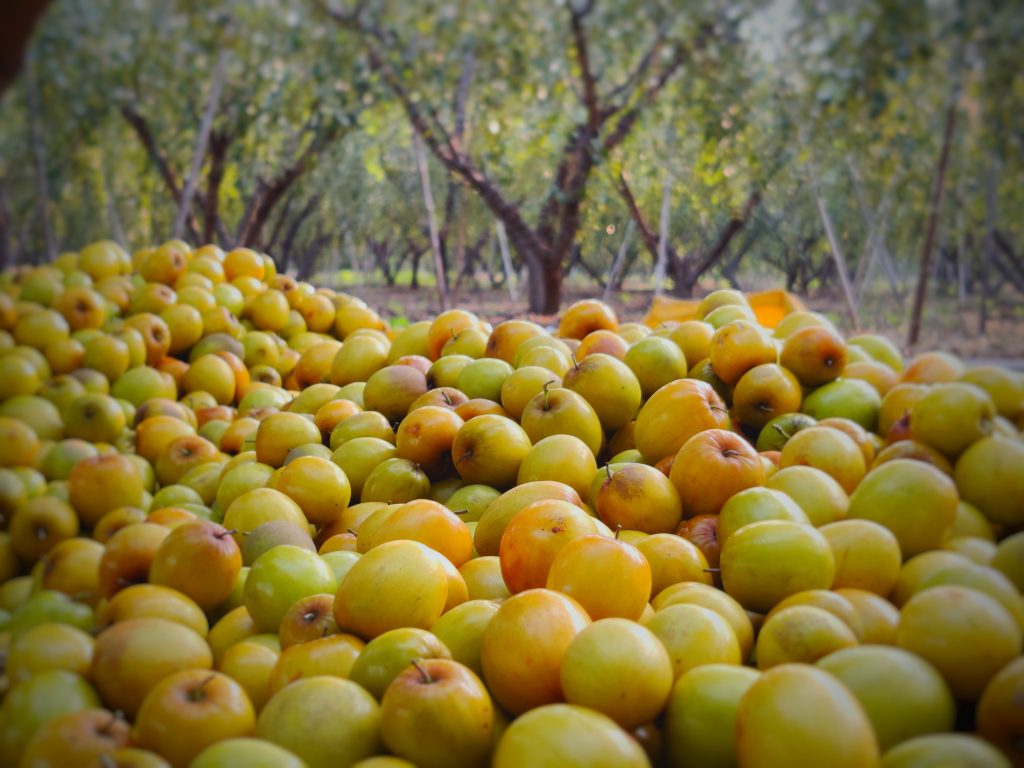 A heap of fruits - PixaHive