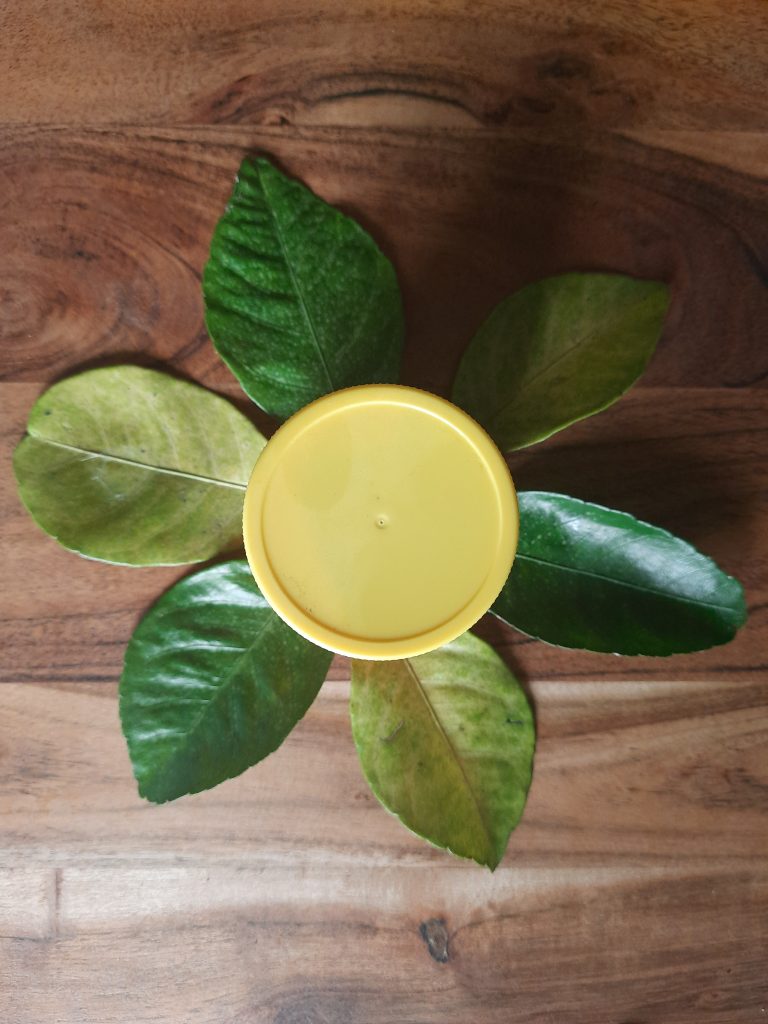 Leaves arranged with a box - PixaHive