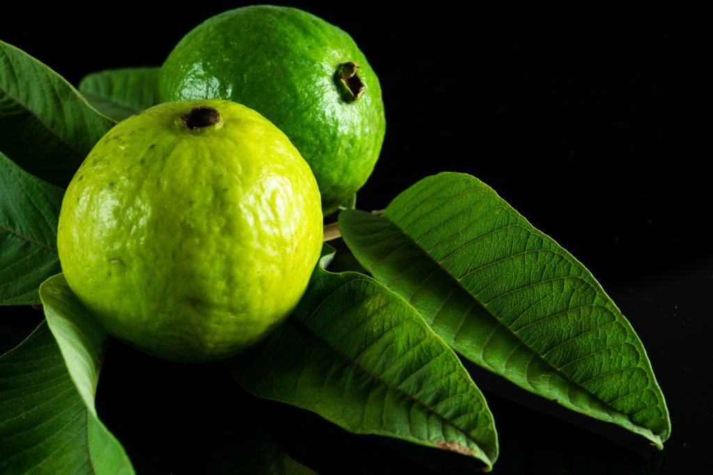 Guava fruit and its leaves - PixaHive