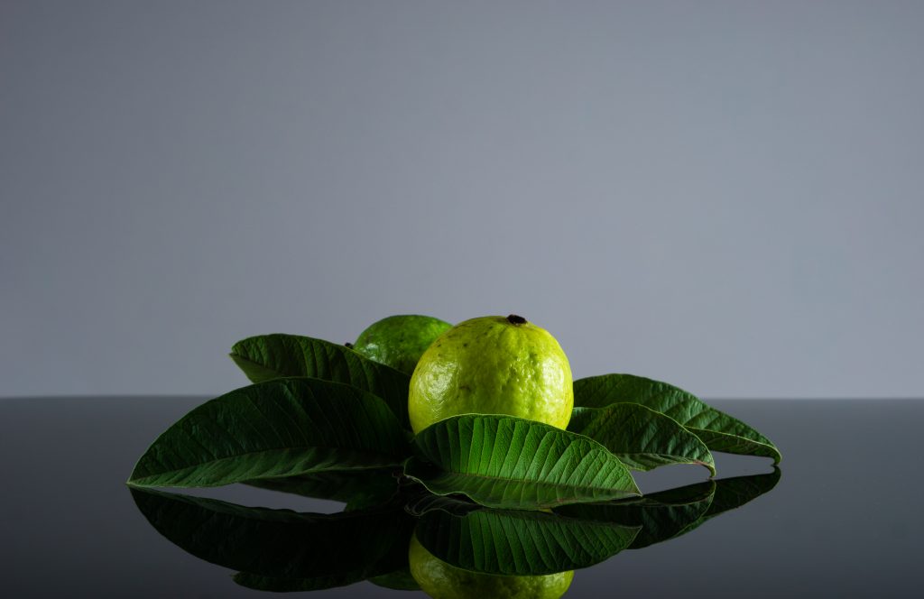Guava fruit and its leaves - PixaHive