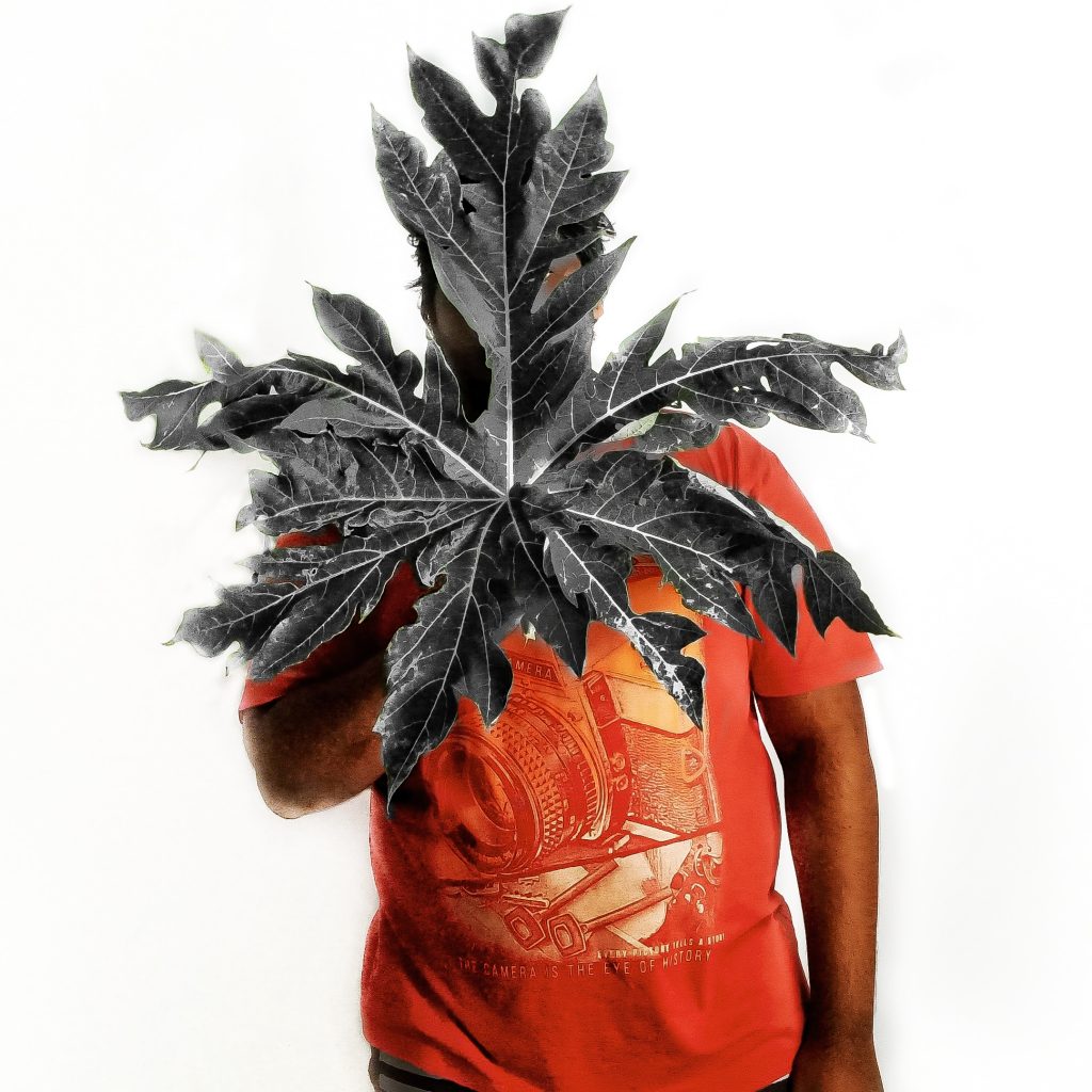 A man hidden behind leaves - PixaHive