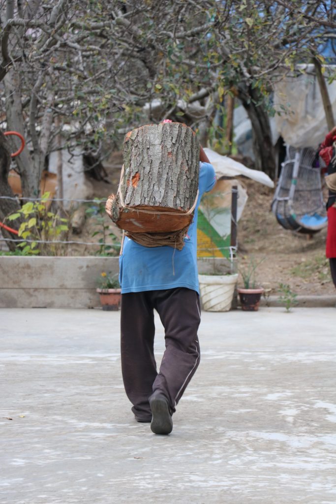 A man carrying wooden log - PixaHive