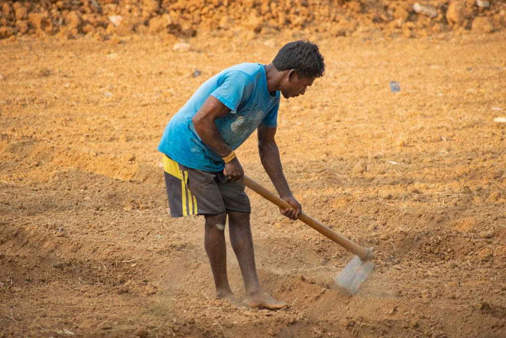 Labour at work - PixaHive