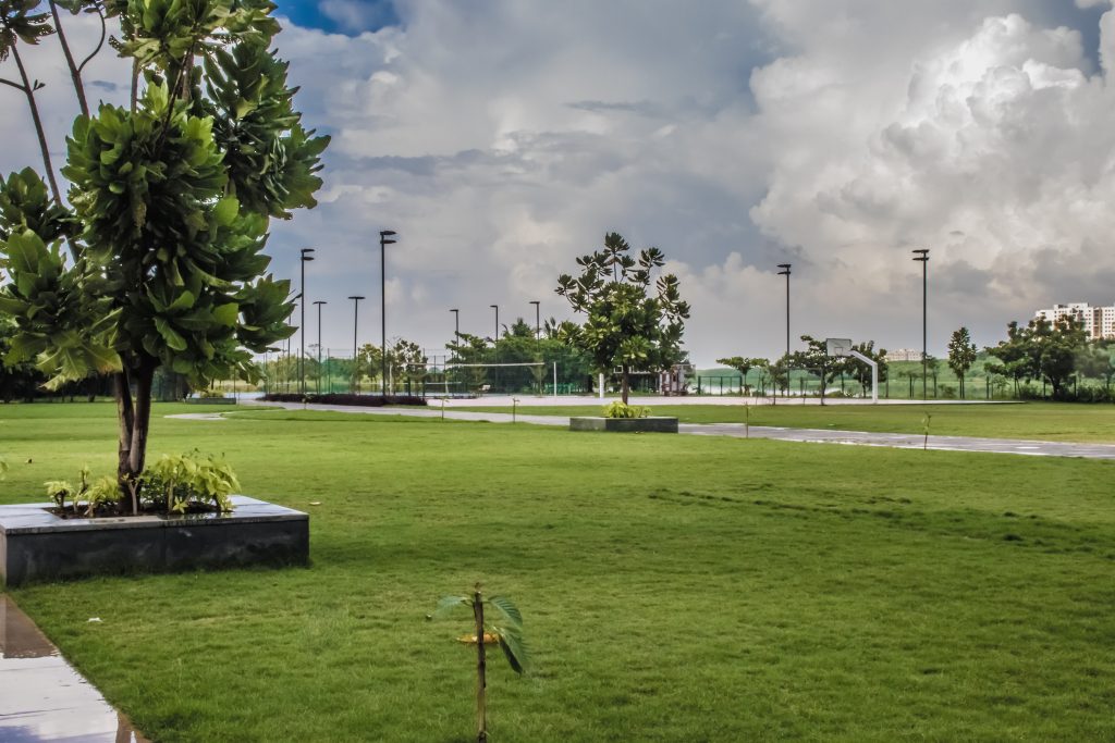 Lawn of a public park - PixaHive