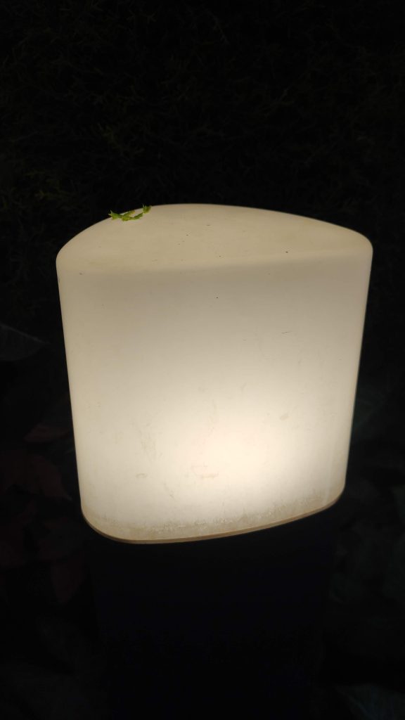 A low light bulb - PixaHive