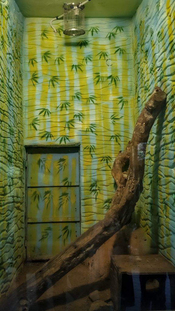 Low light - PixaHive