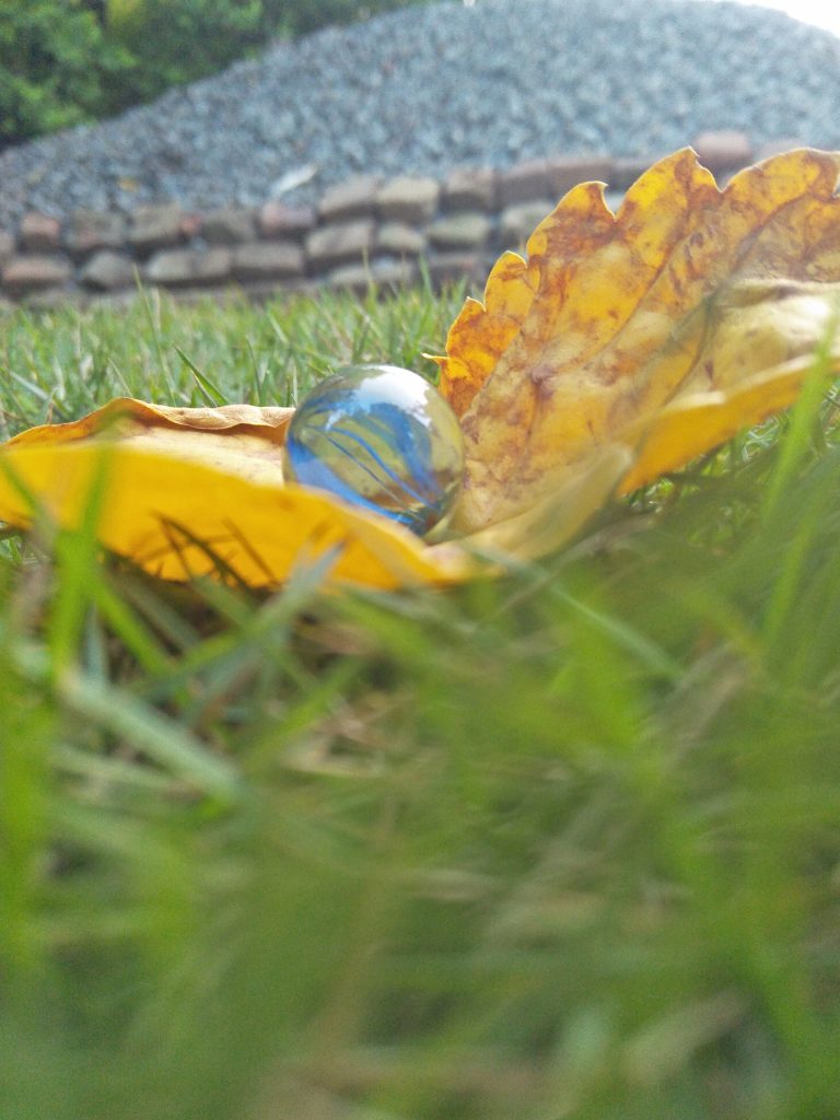 Marble on leaf - PixaHive