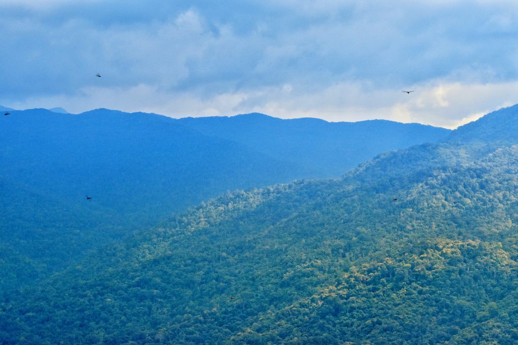 Misty mountain - PixaHive