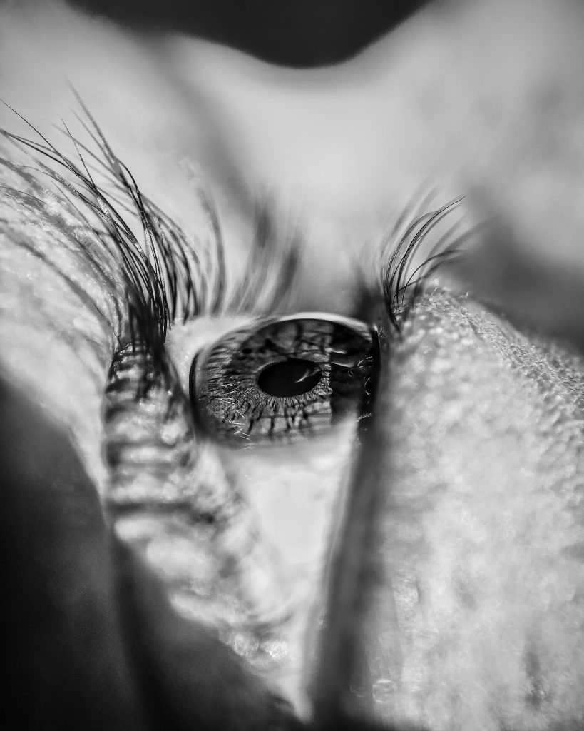 Monochrome eye - PixaHive