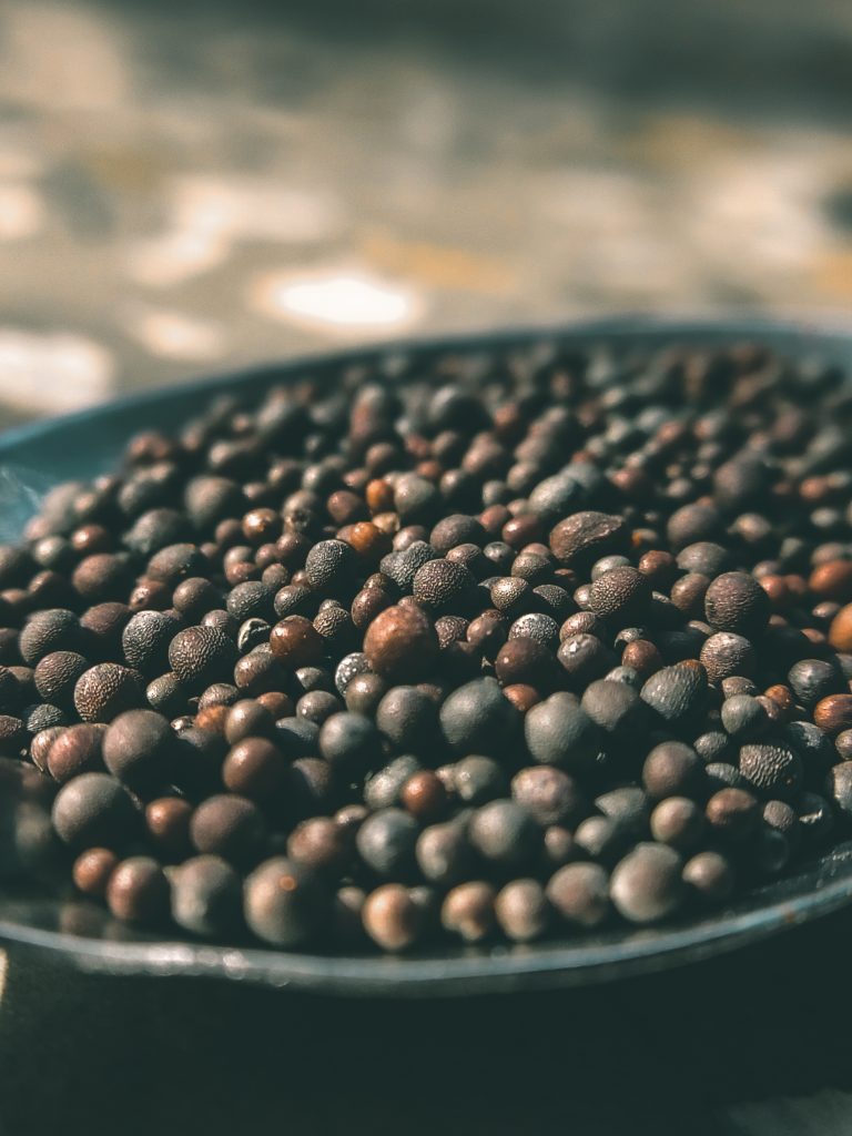 Mustard macro shot - PixaHive