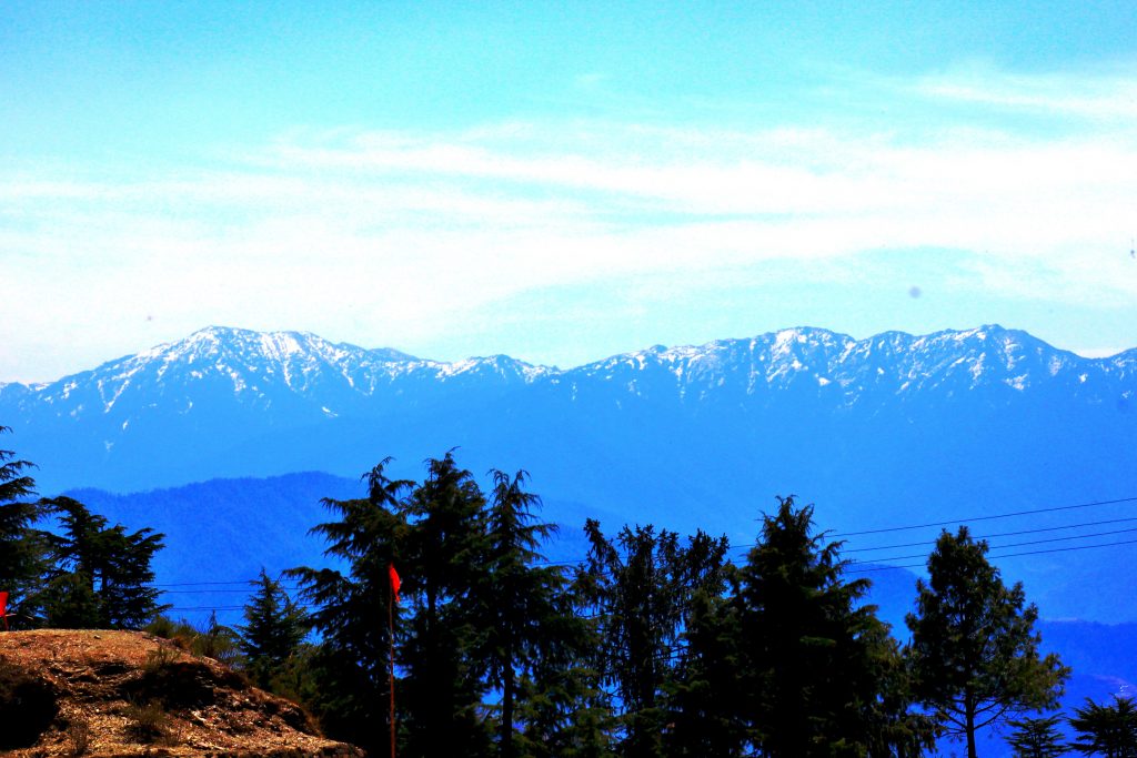 Pinetree,mountain,bluesky,Dalhousey. - PixaHive