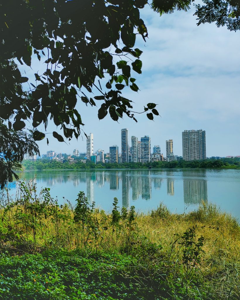 Reflection story - PixaHive