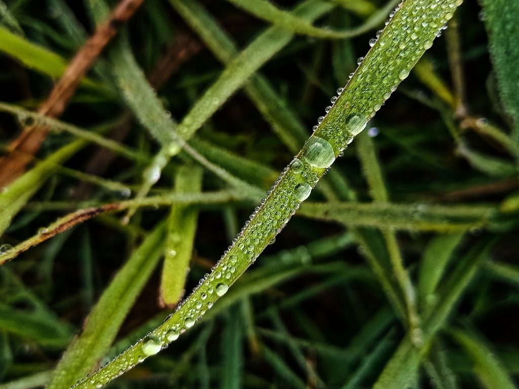 Small droplets - PixaHive