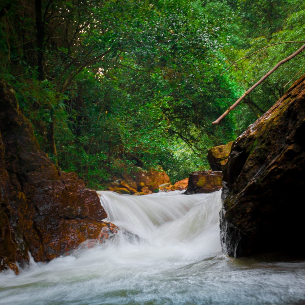 Stream of clean water - PixaHive