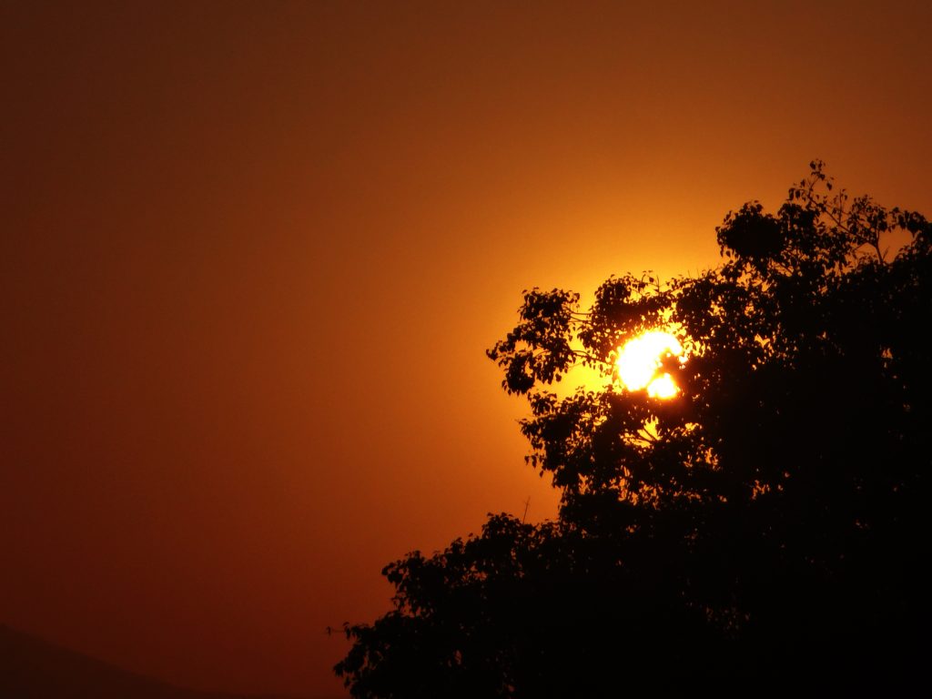 Sun behind a tree - PixaHive