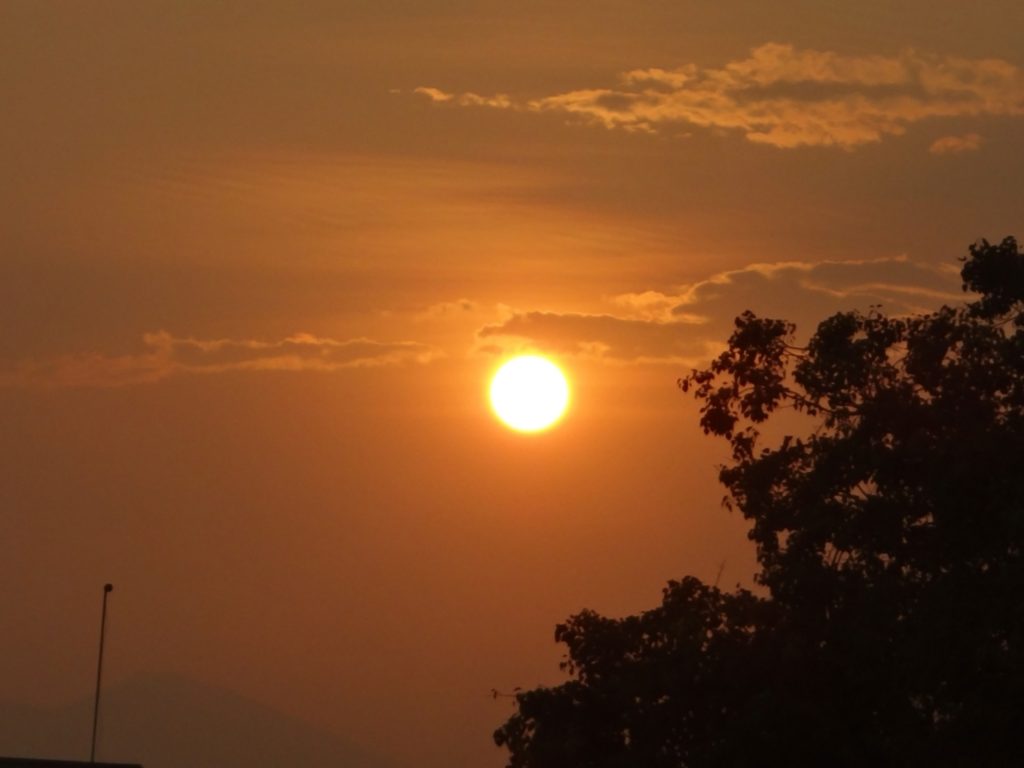 Sun with trees - PixaHive