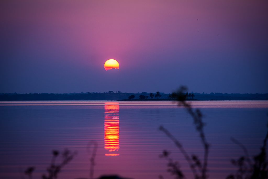 The Pink Sunset - PixaHive