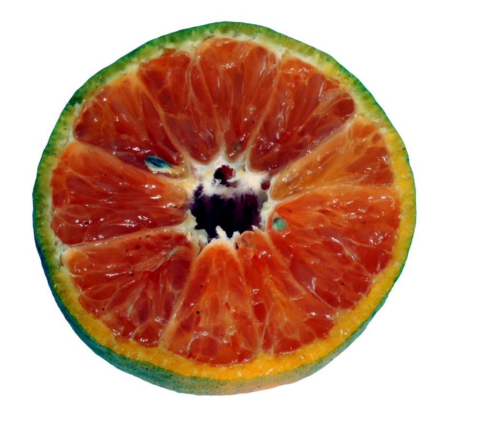 half orange - PixaHive