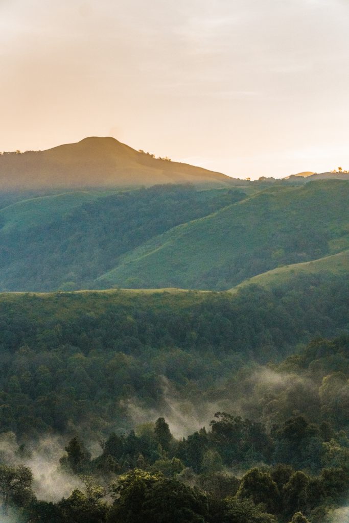 landscape - PixaHive