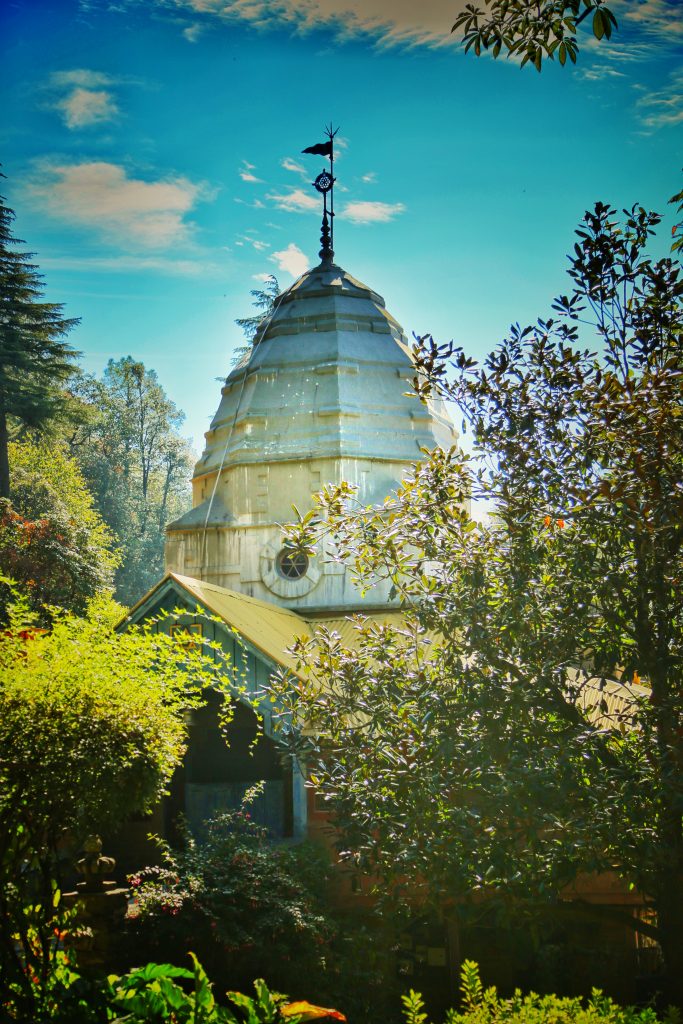 temple in a forest - PixaHive