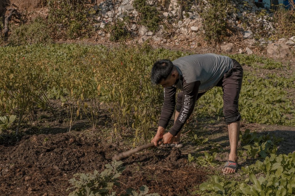 A boy working in field - PixaHive