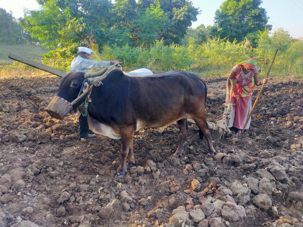 A farmer at work - PixaHive