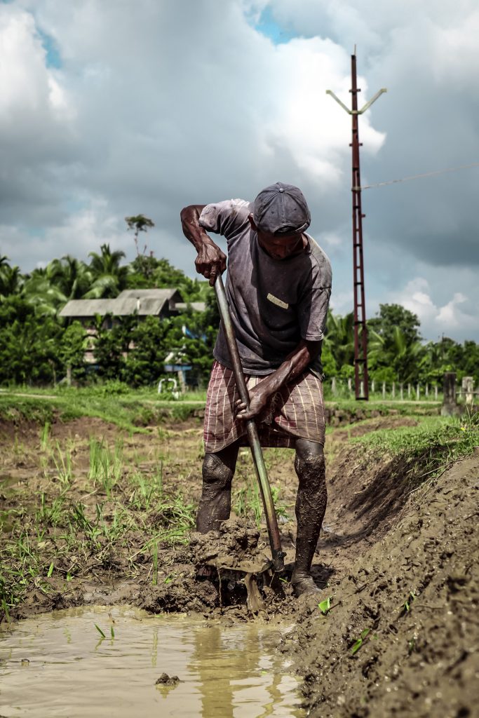 A farmer working in his field - PixaHive