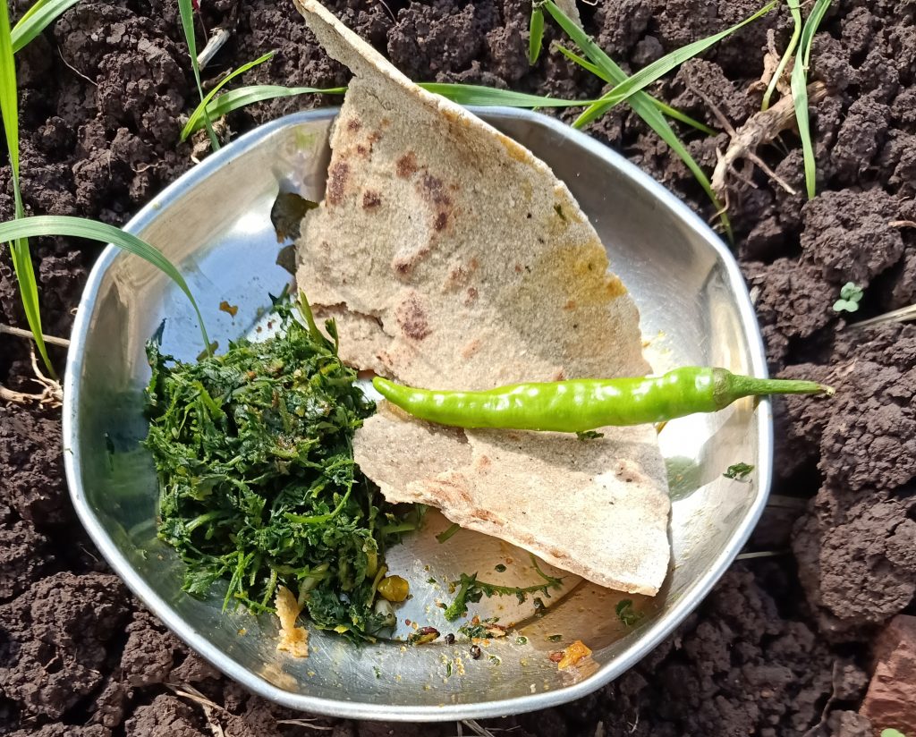 A farmer's meal - PixaHive