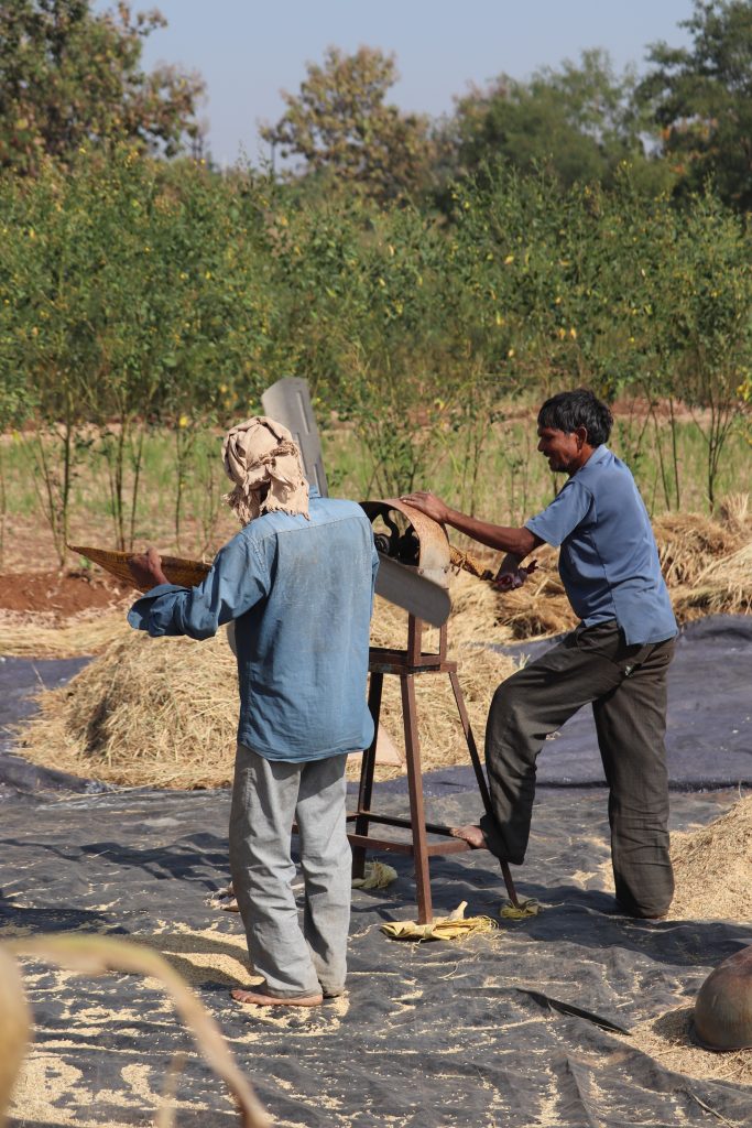 Farmers working in a field - PixaHive