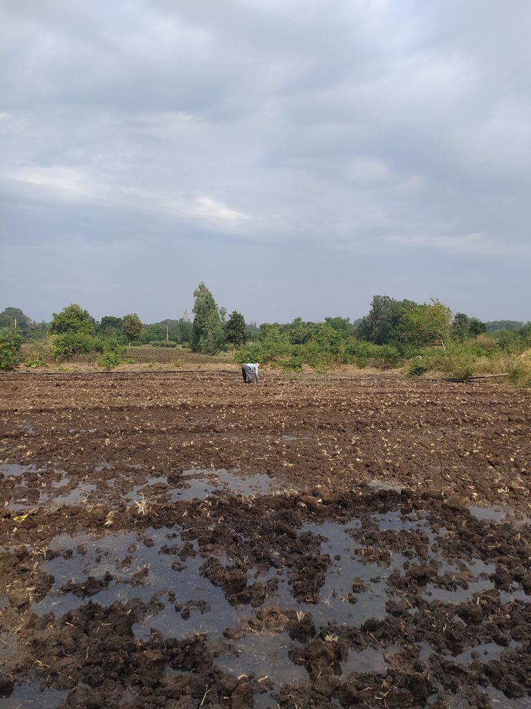 Muddy fields - PixaHive