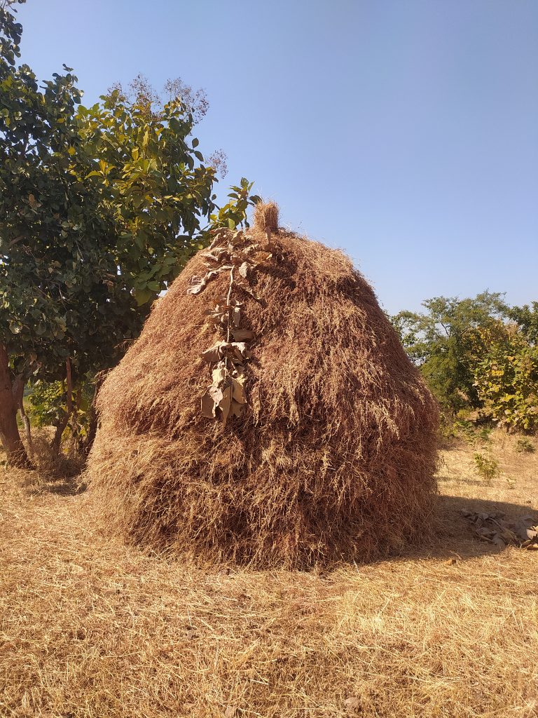 A pile of grass - PixaHive