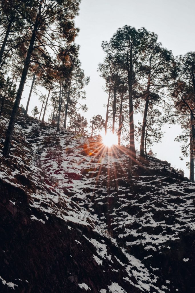 A snowy hill - PixaHive