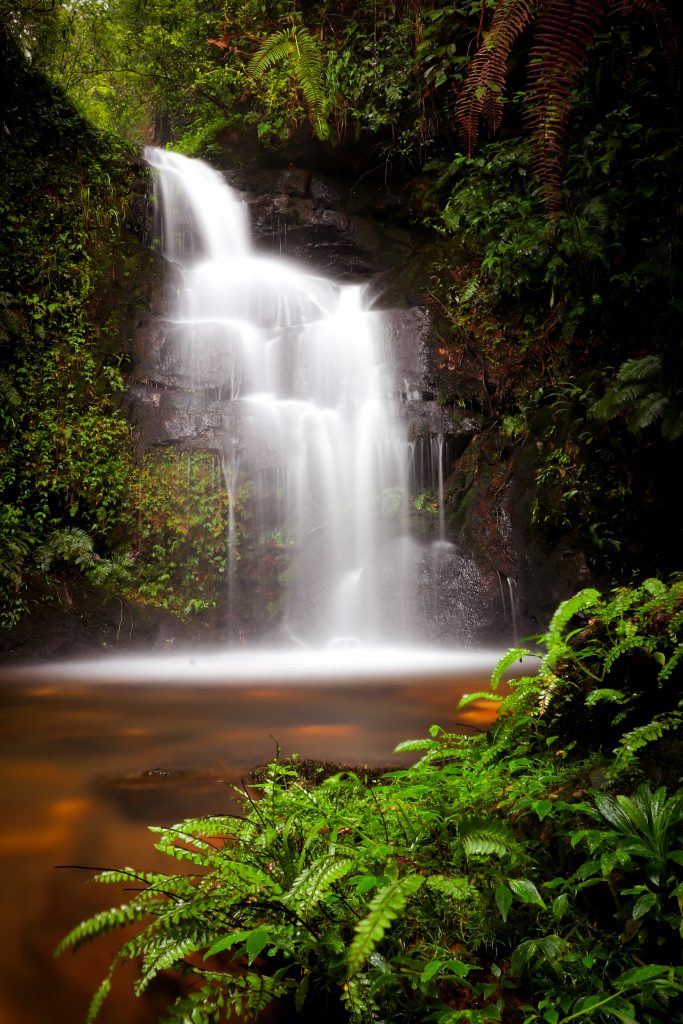 A waterfall in a jungle - PixaHive