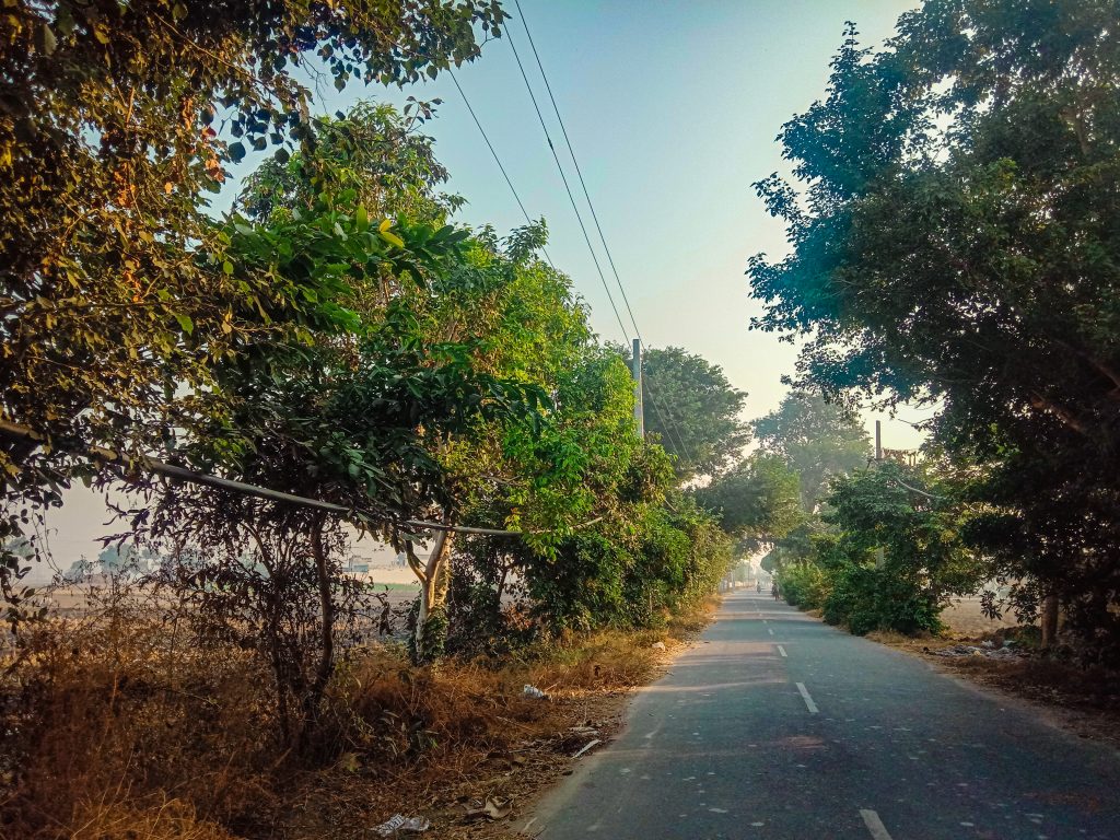 An empty village road - PixaHive