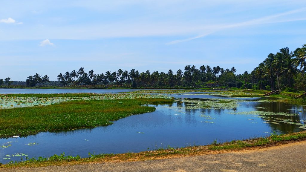 a scenic pond - PixaHive