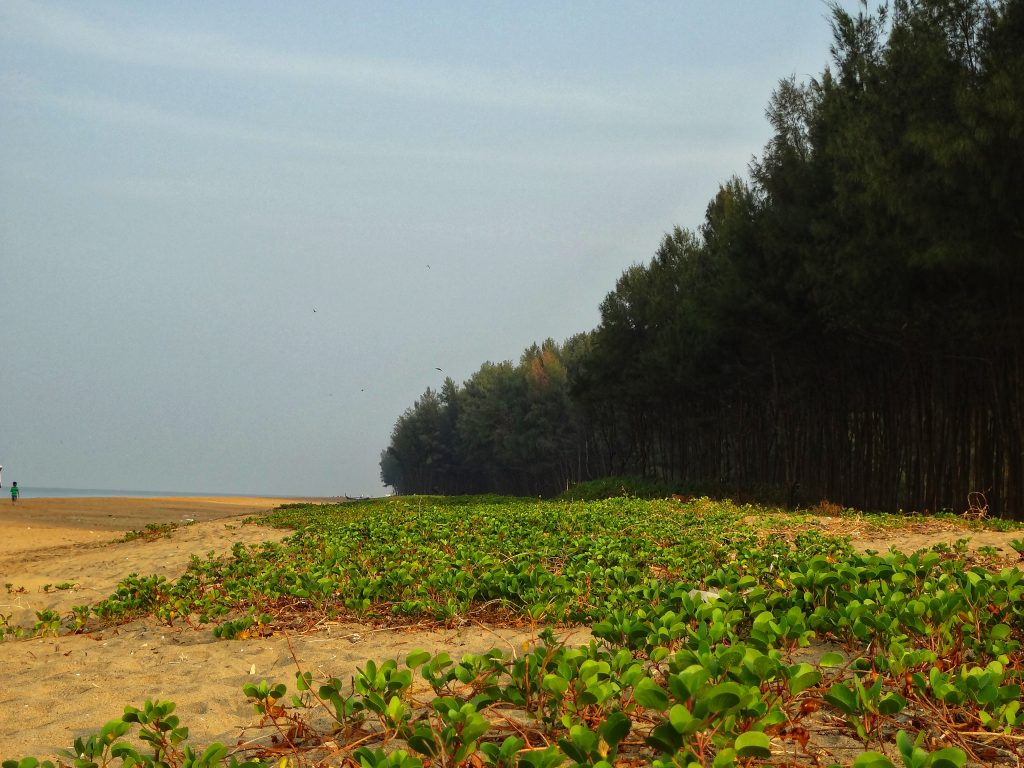 Chavakad Beach - PixaHive