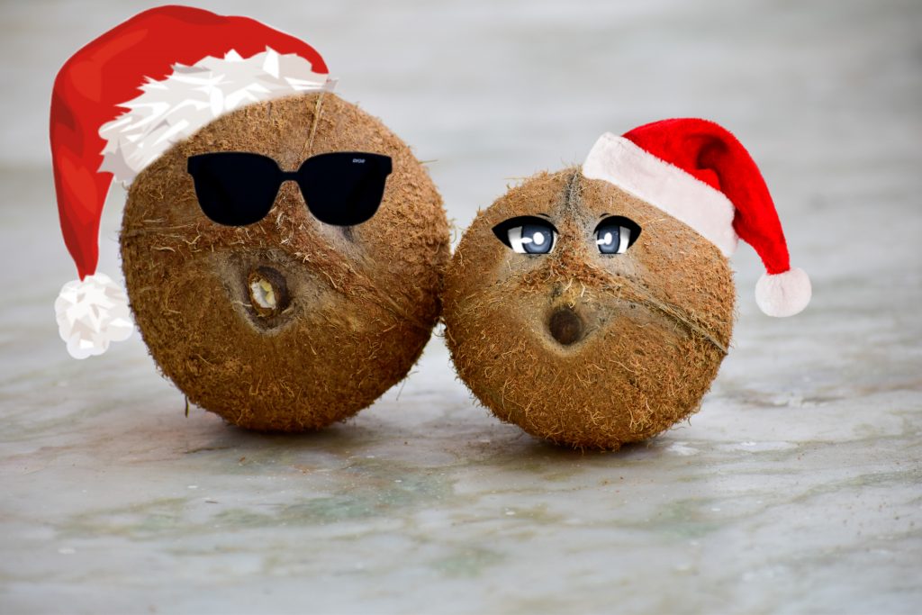 Coconut Santa - PixaHive