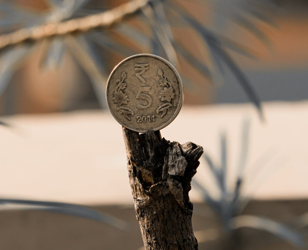 Coin in a tree - PixaHive