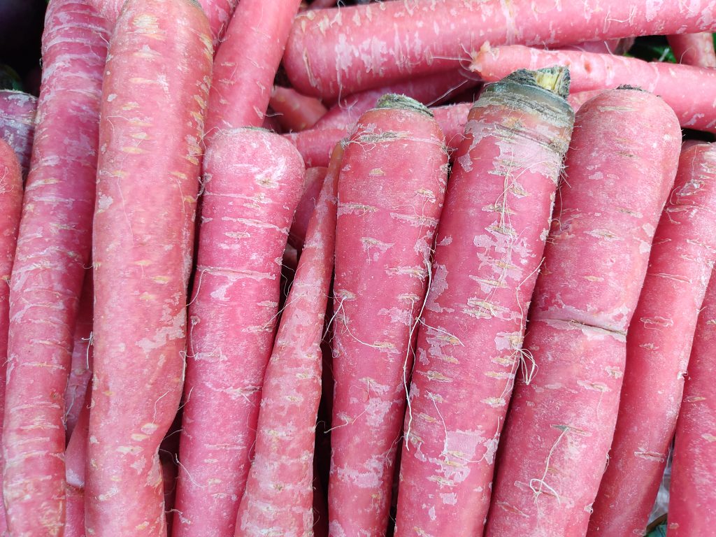 Color of carrot - PixaHive