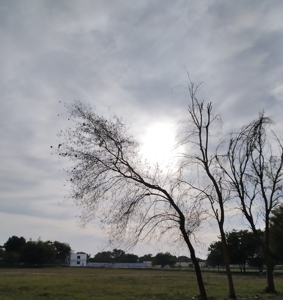 Dry sunshine - PixaHive