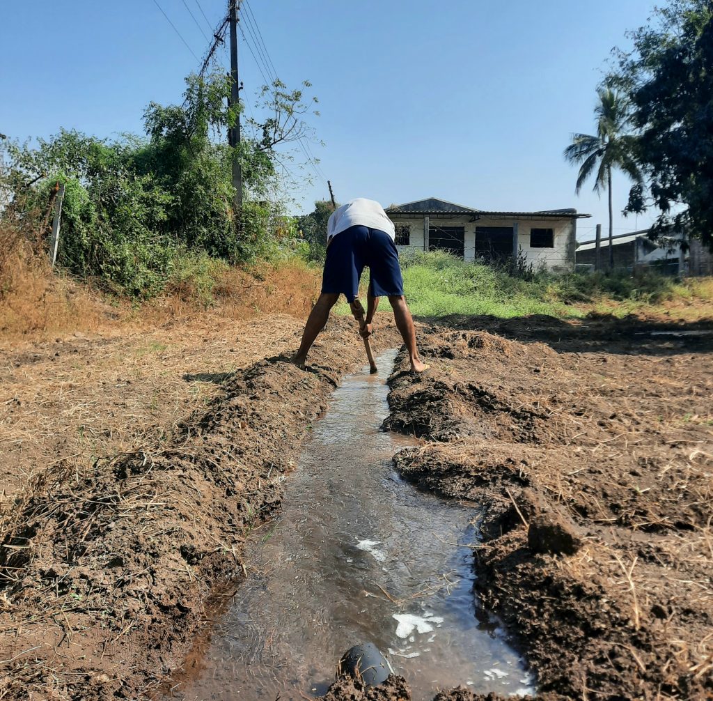 Farmar in field - PixaHive