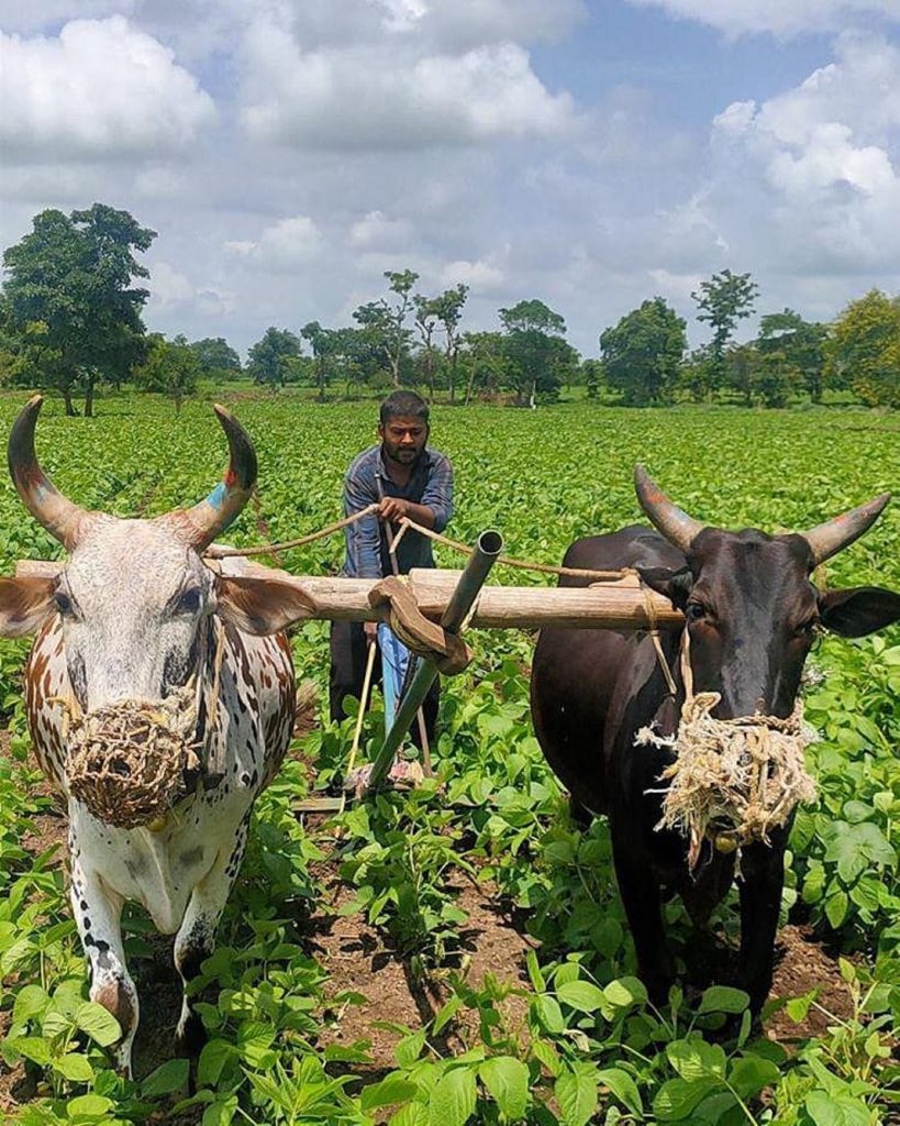 Farmer Farming on the Field - PixaHive