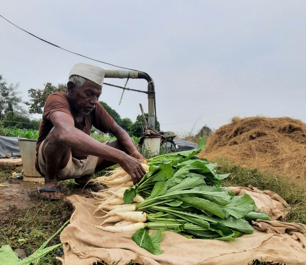 The Farmer is cleaning vegetable - PixaHive