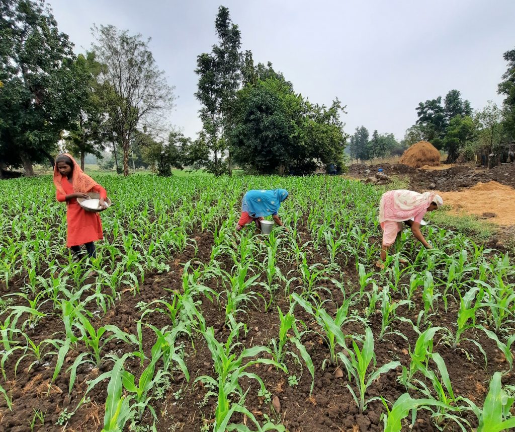 Farmer irrigating his fields - PixaHive
