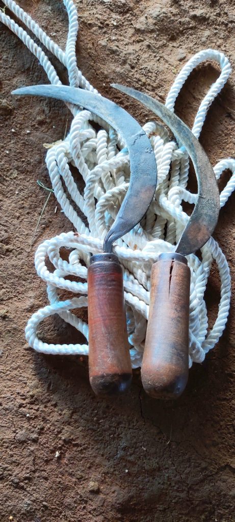 Farmer tools - PixaHive