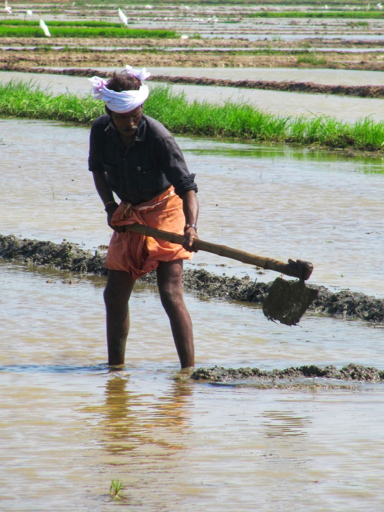 Farmers Working in Field - PixaHive