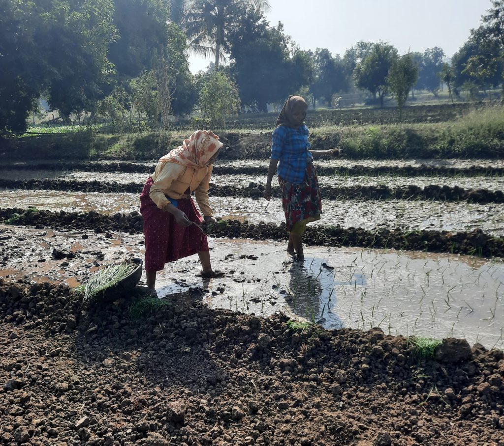 Farmers at work - PixaHive